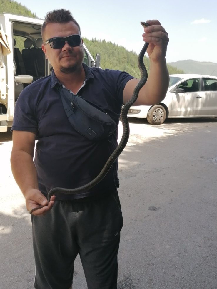 Dino Mujak iz BiH golim rukama hvata zmije i iz grada ih nosi na ...